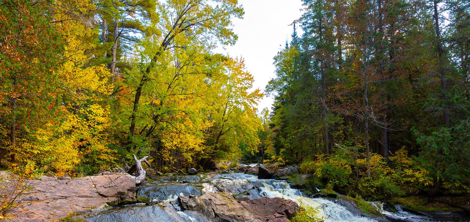 Municipal Directory | Municipal Services | Municipality of Callander